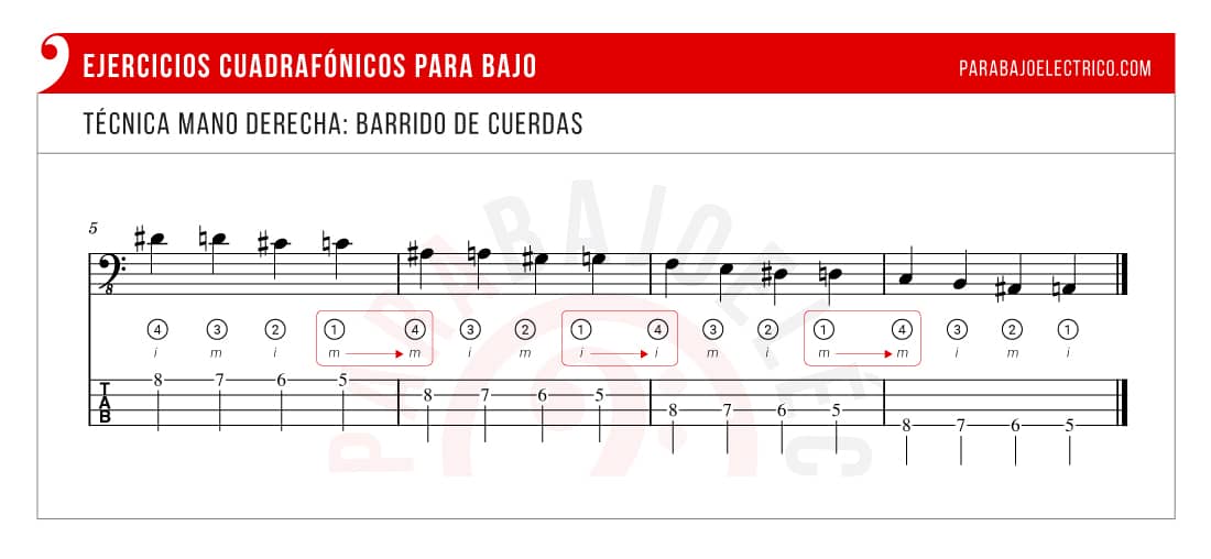 Ejercicios cuadrafónicos 】 24+1 Ejercicios de Bajo 2025