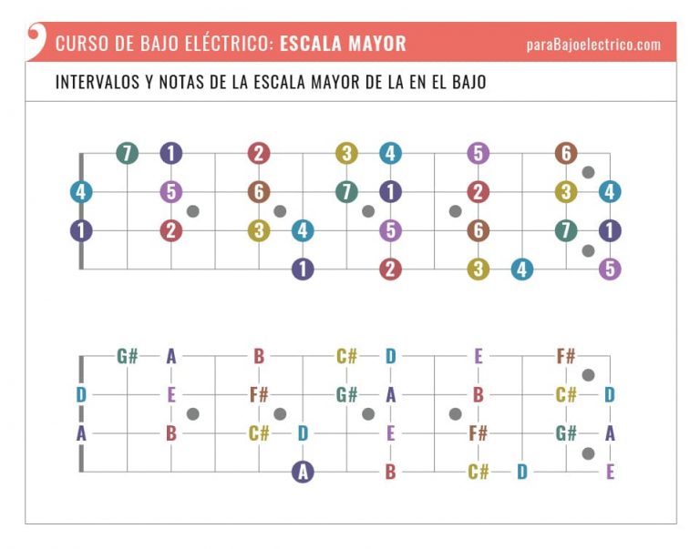 Escala Mayor en el Bajo 【 PDF 】 Fórmula + Digitación Modo Jónico